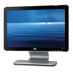HP W1707 17-inch LCD Monitor