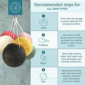 Bare Essentials Living - Konjac Sponges Set (12 Pack) with Activated Bamboo Charcoal Facial Sponge, Natural Sponge, Great for Facial Sponges, Bath Sponge, Beauty Sponge, and Exfoliating Body Sponge