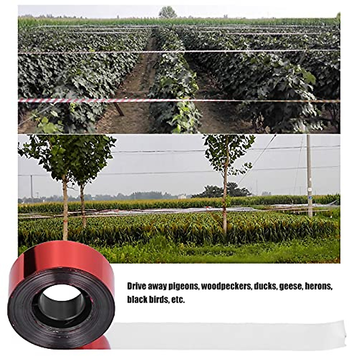 01 Bird Scare Ribbon, 10Pcs Bird Scare Tape 60m Reflective for Garden for Fruit Trees for Home for Balcony