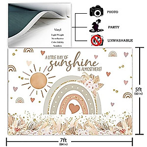 Avezano Boho Rainbow Baby Shower Backdrop Pampas Grass Boho Party Photography Background for Girl's Rainbow Sunshine Baby Shower Decoration Photoshoot (7x5ft)