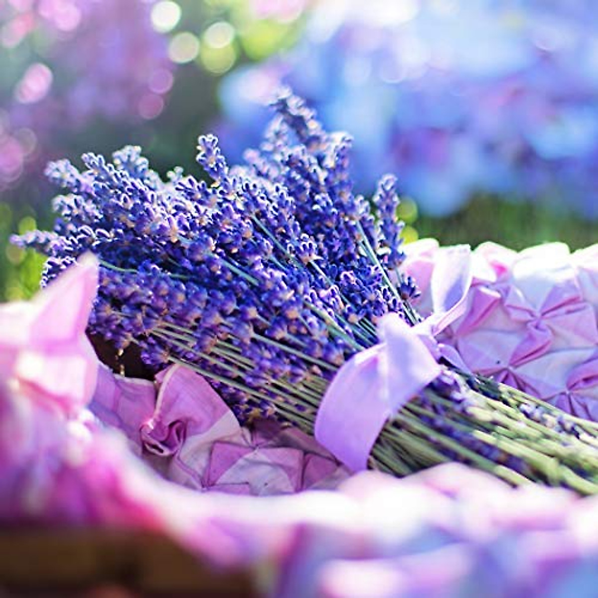 TKE Farms - English Lavender Seeds for Planting 1/4 Gram, 200 Seeds, Lavandula angustifolia