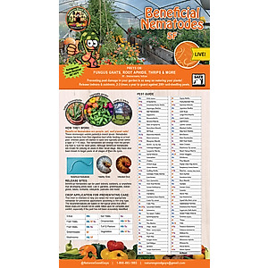 Natures Good Guys - Beneficial Nematodes Steinernema Feltiae - SF (10 Million)