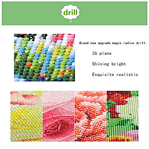 DIY 5D Diamond Painting by Number Kit,Crystal Rhinestone Diamond Embroidery Paintings Cross Stitch for Home Wall Decor Rainbow Coconut Tree,11.8 x 15.7 inch