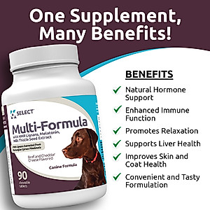 K9 Select Multi-Formula Dog Vitamins for Large Dogs - 30mg HMR Lignans, 3mg Melatonin, 60mg Milk Thistle - Helps Heart, Liver, Digestion, Skin & Coat Health, Dog Multivitamin, 90 Tablets, Beef Flavor