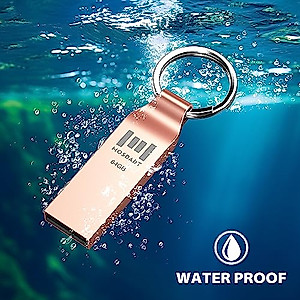 MOSDART 64GB Metal USB 2.0 Flash Drive 2 Pack exFAT Thumb Drive with Keychain 64 GB Waterproof Jump Drive 64G Memory Stick for Data Storage and Backup, Rose Gold
