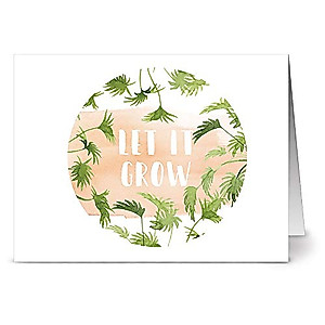 All Occasion Greeting Cards Assortment – 72 Pack - 6 Unique Indoor Oasis Design Series Set – KRAFT ENVELOPES INCLUDED – Blank Greeting Card – Glossy Cover Blank Inside – By Note Card Café