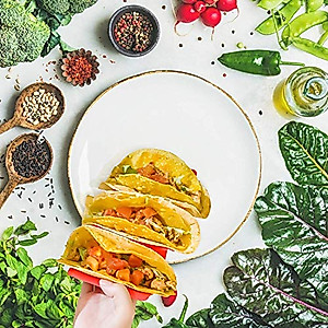 GINKGO Taco Holder Stand Set of 6 and Colorful Taco Holders Set of 6 Taco Taco Tray Plates with Handle Very Sturdy and Durable Dishwasher and Microwave Safe