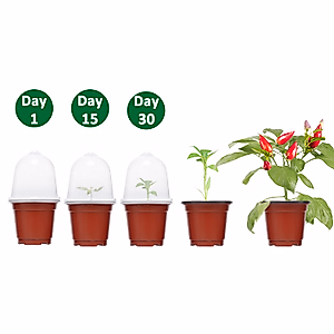Gardenvy Plant Nursery Pots with Humidity Dome, Reusable Seed Starter Pots with Drainage Holes, Soft Transparent Plastic Gardening Cups for Seedling, 10pcs Plant Labels, 30 Sets