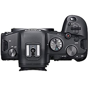 EOS R6 Mirrorless Digital Camera with RF 24-105mm f/4 L is USM Lens + 128GB Memory + Case + Tripod + Filters (38pc Bundle)