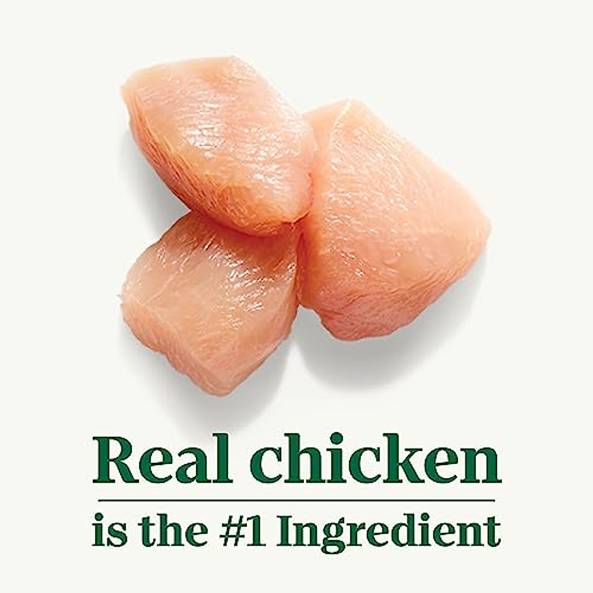 NUTRO NATURAL CHOICE Large Breed Puppy Dry Dog Food, Chicken & Brown Rice Recipe Dog Kibble, 30 lb. Bag