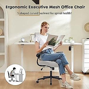 SMUG Ergonomic Office High Back Computer, Mesh Home Desk Lumbar Support, Tilt and Lock, Comfy Rolling Executive Swivel Task Chair with 3D Adjustable Headrest and Armrests, Grey