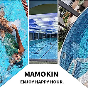 Mamokin Replaces 6CH-940 Spa Filter，Unicel 6CH-940，Filbur FC-0359, 817-0050, 25252, 03FIL1400,PWW50P3(NOT PWW50P4), (1 1/2" Coarse Thread), Waterway Front Access Skimmer, SAE Thread Filter 2 Pack