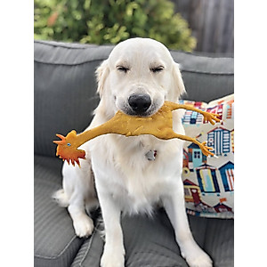 Rubber Chicken Dog Toys - Natural Rubber (Latex) - Lead-Free Chemical-Free - Complies with Same Safety Standards as Baby Toys - Soft Unstuffed Squeaky (Extra-Large)