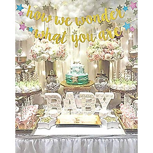 How We Wonder What Your are Glitter Banner Pre-Strung for Twinkle Twinkle Little Star Gender Reveal Party Decorations