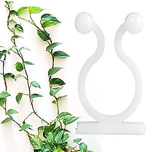 henvkoli Plant Clips,Vine Clips for Climbing Plants,100Pcs Wall Plants Climber,Plant Clips for Climbing Plants Self-Adhesive Plant Clips Fixing Hook Wall Vine Supports Traction Wall Clip