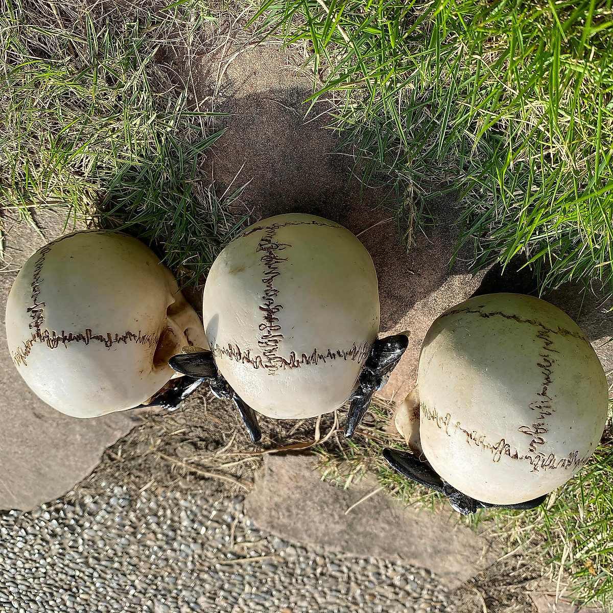 Basuo-9Q Pack of 3 Hear Speak See No Evil Resin Figurines Halloween Decoration Wise Skeletons Statues Black Reapers (Moth-Skulls)