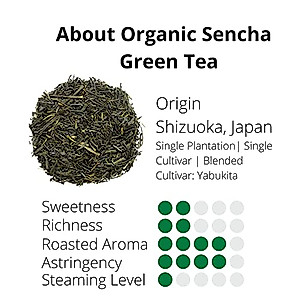 Ocha & Co. Organic Sencha - Loose Leaf Japanese Green Tea - High Grade Sencha Green Tea - Mild, Rich & Refreshing Premium Tea, 100g/3.5oz.