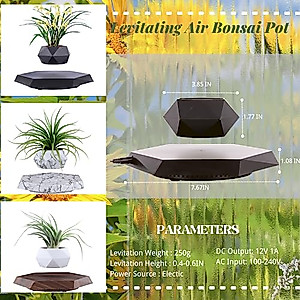 MOOCCI Floating Plant Pot Magnetic Levitating Plant Pot for Succulents, Air Bonsai and Fake Flowers and Plants, Unique Decor for Home, Office and Desk (Brown)