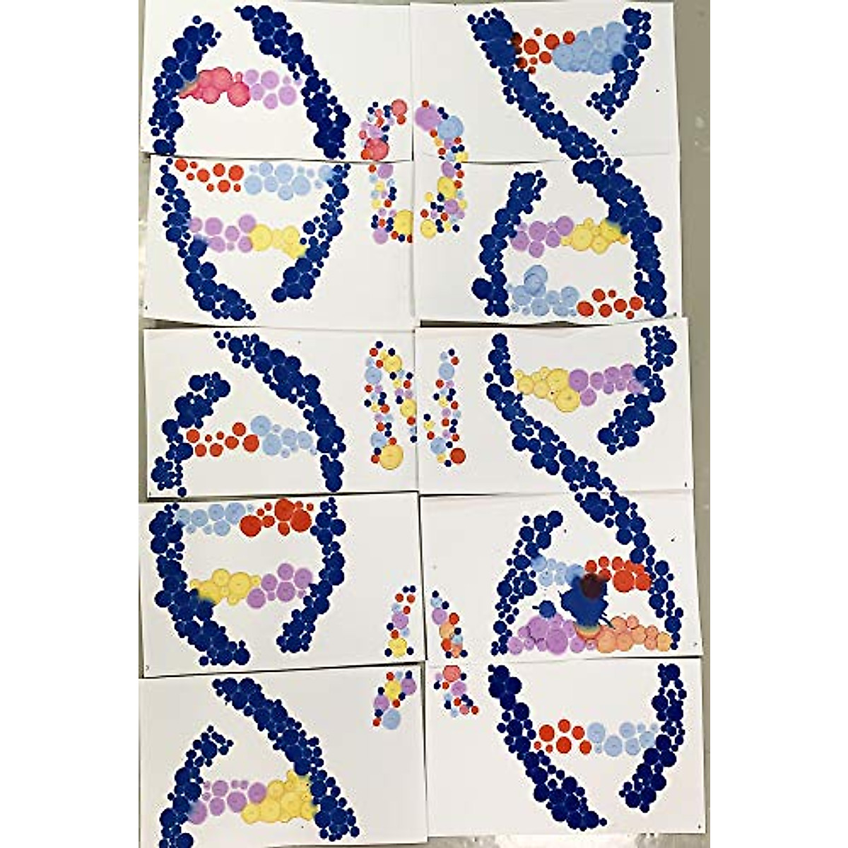 Edvotek S-45 Pipetting by Numbers: STEAM Pipetting Practice, for 10 Lab Groups