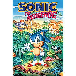 Pyramid America Sonic The Hedgehog Sonic 3 Box Art Sega Video Game Gaming Cool Wall Decor Art Print Poster 12x18