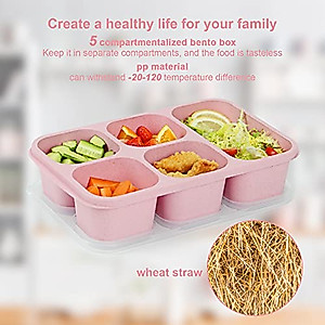 Nuoqiuu 6 Pcs Bento Snack Containers, 5-Compartment Lunchable Containers, Reusable Meal Prep Container for Kids, Snack Storage Boxes for Toddler School