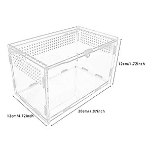 Flyan Acrylic Reptile Feeding Box 3.9x3.15x2.75 inch Transparent Glass Breeding Box Terrarium with 2 Pcs Straight and Curved Tweezers for Pet Insect Spider Crickets Snails Hermit Crabs Lizard