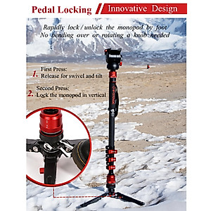 IFOOTAGE Cobra 3 Monopod C180F-P with K5S Fluid Head, Professional Portable Travel Monopod Kit for Canon Nikon Sony Olympus Panasonic DSLR Camera