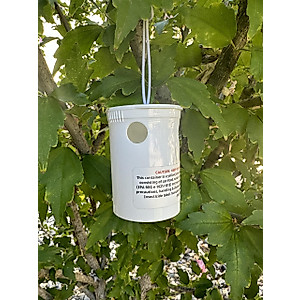 Yellow Jacket Bait Bottle/Station for Pest Control, Microencapsulated Bait, wasp Control