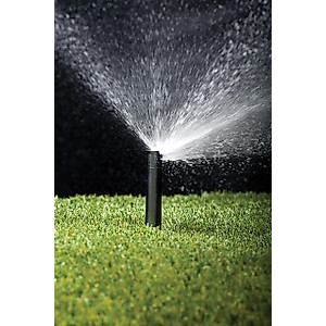 Rain Bird 12DSH Dual Spray Nozzle, 180° Half Circle Pattern, 9' - 12' Spray Distance