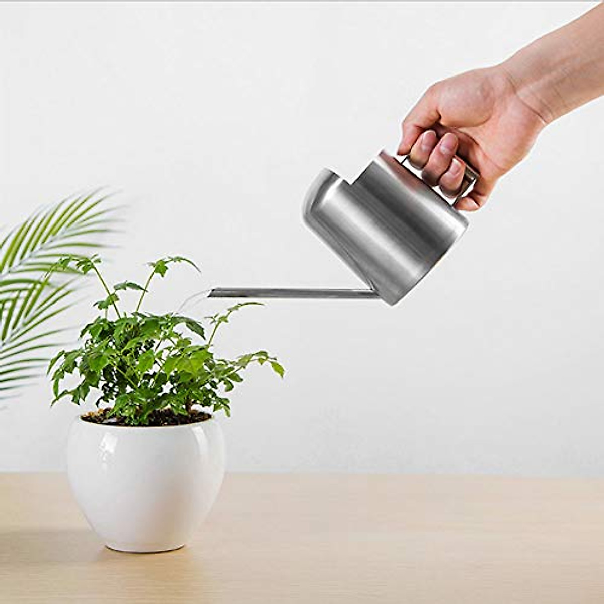Watering Can for Indoor Plants 300ML Stainless Steel Small Watering Can with Long Spout Watering Pot for House Plant Garden Flower Bonsai Succulents