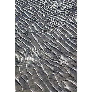 Posterazzi PDDUS10LEN1051 Ripples in The Sand, Beach at Honeymoon Island State Park, Dunedin, Florida, USA Photo Print, 18 x 24, Multi