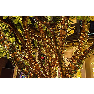 DecoBrite Incandescent 69ft (21m) 300 ct Christmas String Lights Clear with Green Wire, Indoor Outdoor Christmas Lights Decorations for Tree, Patio, Garden（300 Clear Bulbs with Green Wire