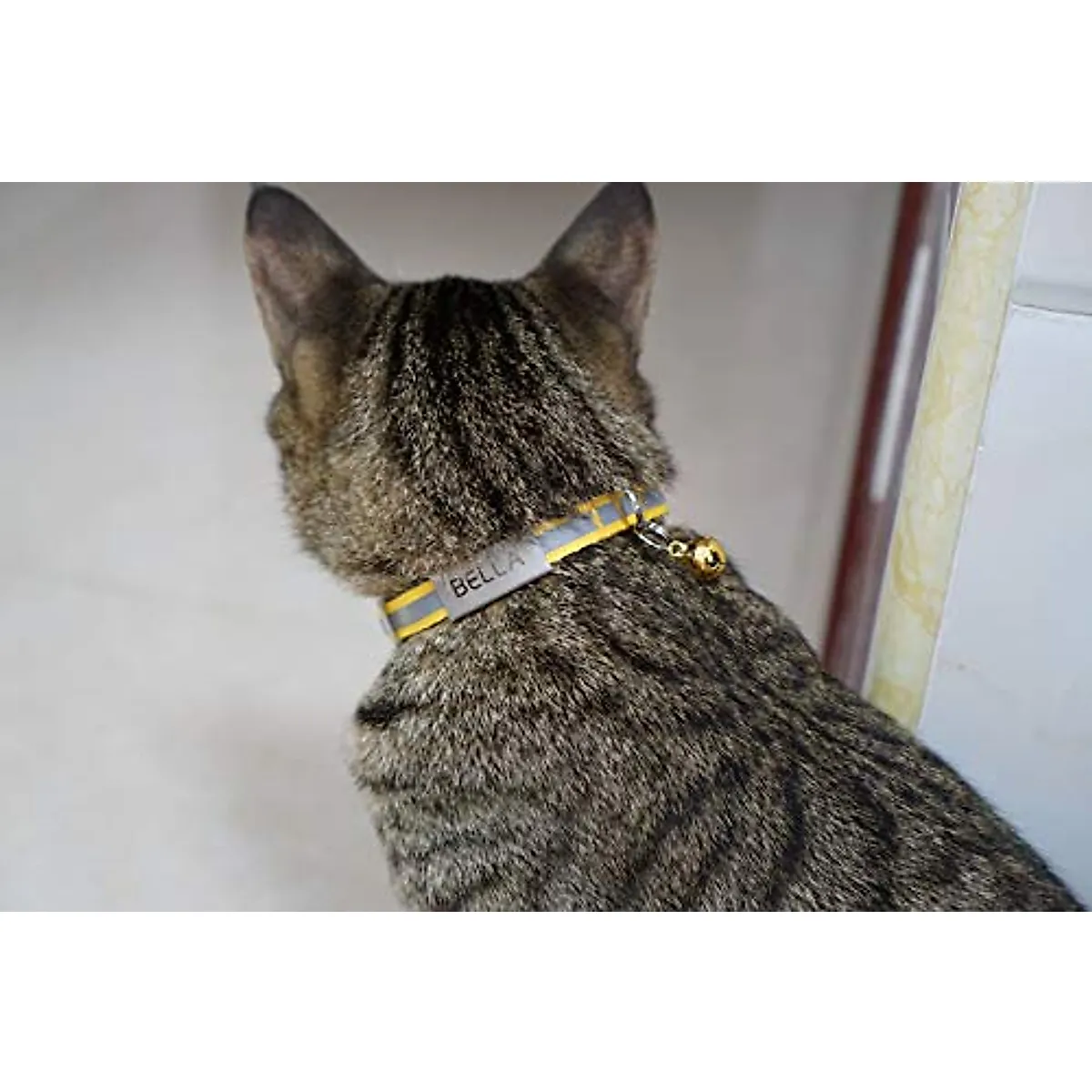 Custom Breakaway Cat Collars with Bell - Engraved Stainless Steel No Noise Slide-On Identification Tags On Collar - Up to 3 Lines of Personalized Text (Reflection)