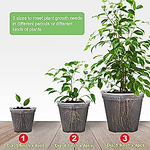 GREENPARA Transparent Plastic Planter 4/5 /6 inch Plant Nursery Pots with Drainage Hole Indoor Modern Decorative Containers for Plants, Herb, Flowers, and Cactus with 10pcs Plant Labels, 12pcs