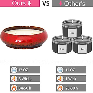 Scented Candles, 3 Wicks Large Lavender Candles for Home Scented, 17 oz Aromatherapy Candle Gifts for Women, Decorative Natural Soy Candles with Long Lasting for Mother's Day Birthday Anniversary