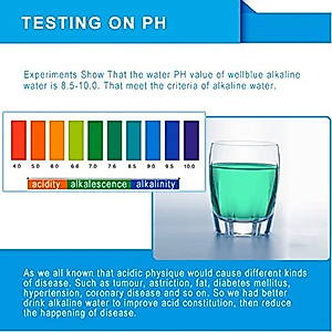 EHM 2 Pack Alkaline Mineral Water Filters Replacement Cartridges (Blue)