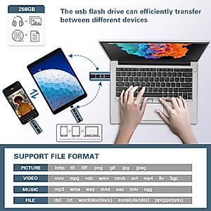 Flash Drive 256GB for iPhone USB Memory Stick Thumb Drives High Speed USB Stick,Photo Stick External Storage for iPhone/iPad/Android/PC(Blue)