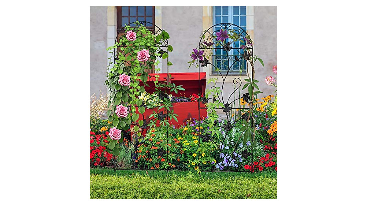 Sturdy Metal Garden Trellis for Climbing Plants