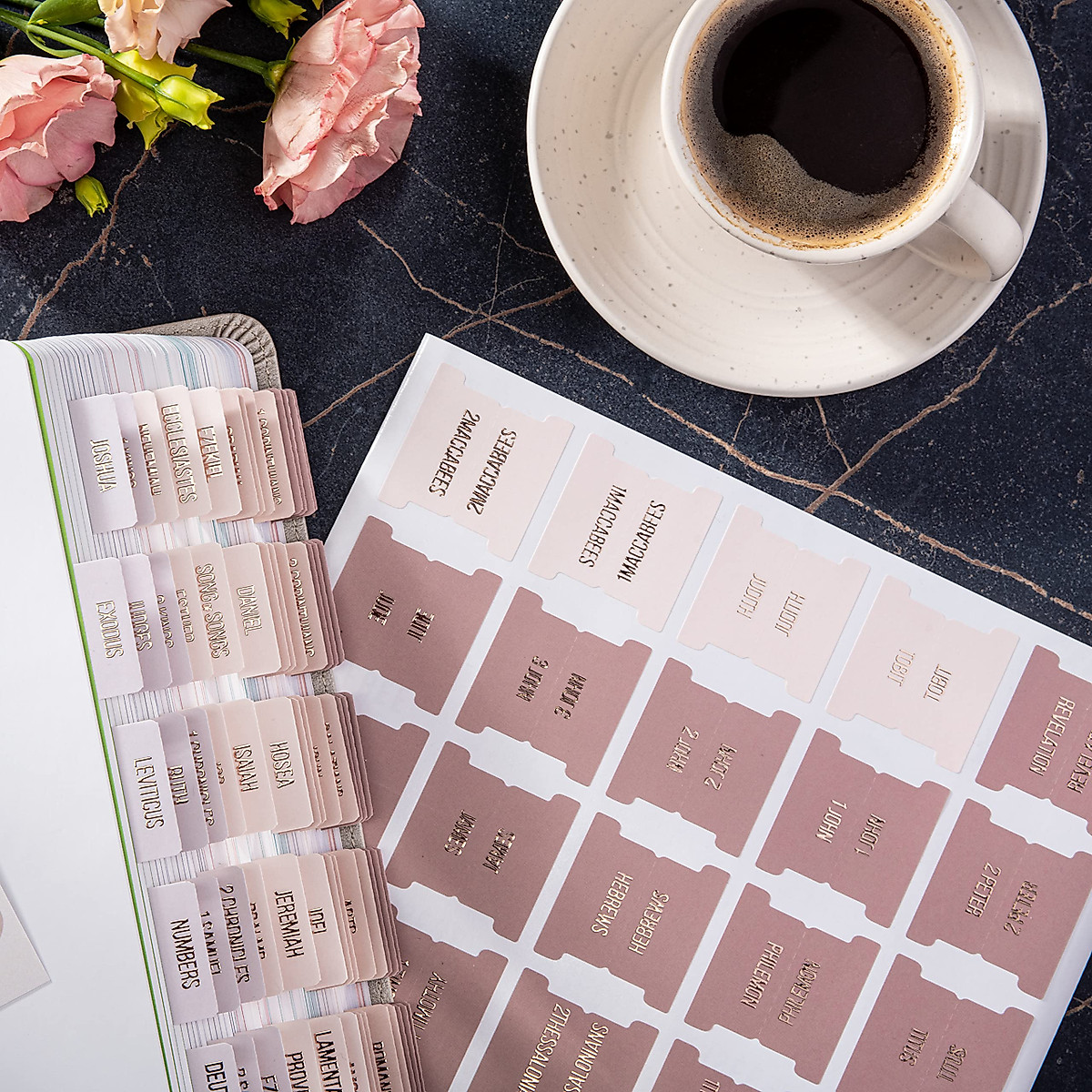 DiverseBee Laminated Bible Tabs (Rose Gold Embossed Lettering), Bible Journaling Supplies, Bible Book Tabs, Christian Gift, 66 Bible Tabs Old and New Testament, Includes 11 Blank Tabs (Pearl)