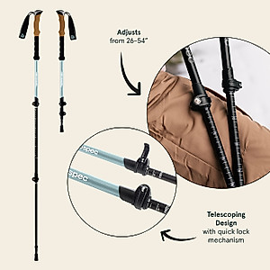 Retrospec Solstice Trekking & Ski Poles for Men & Women - Aluminum w/Cork Grip - Adjustable & Collapsible Lightweight Hiking, Walking & Skiing Sticks - Winter Mint