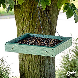 Lyric Cardinal Wild Bird Seed - Sunflower & Safflower Premium Bird Food Mix for Cardinals, Grosbeaks & Blue Jays - 3.75 lb bag