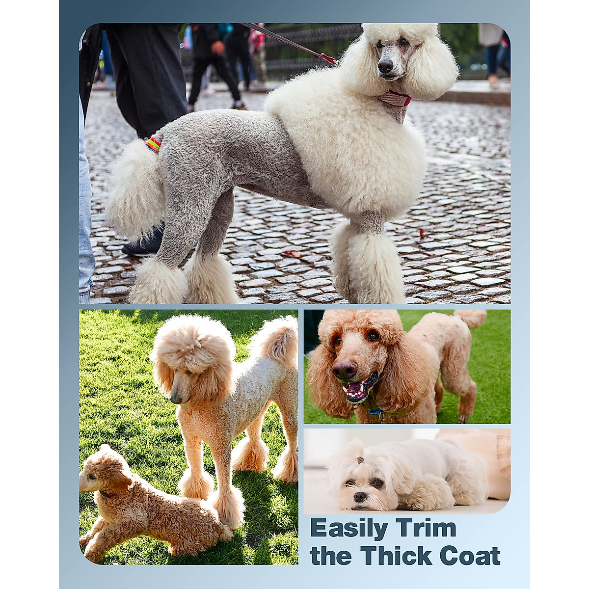 oneisall Dog Clippers for Grooming for Thick Heavy Coats/Low Noise Dog Grooming Kit/Rechargeable Cordless Pet Shaver with Stainless Steel Blade/Waterproof Dog Shaver for Dogs Pets and Animals Sliver