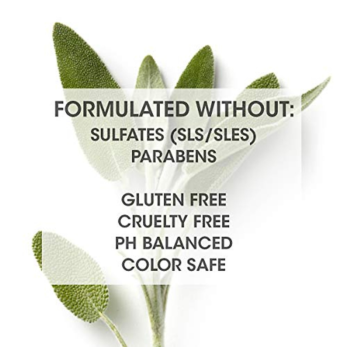 SEVEN Hair Care Rinzu Helio Violet Shampoo for Women & Men with Green Tea & Amino Acid, Purple Shampoo for Blonde Hair & Brassiness, Sulfate + Paraben Free, Cruelty Free, Made in USA, 7 oz