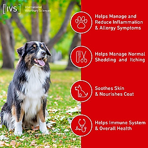 International Veterinary Sciences IVS Lipiderm Gel Cap Skin and Coat Fish Oil Omega 3 and 6 Dietary Supplement for Small/Medium Dogs, Made in the USA, 60 Count