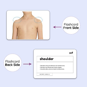 My First Body Parts Flash Cards for Toddlers - 24 Cards - 48 Sides, Montessori, Educational, Kindergarten, Preschool Learning Activities, Gifts for Kids, 1-4 Years babies, Fun & Educational Flashcards