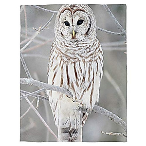 Greeeen Plush Fleece Throw Blanket | Fuzzy, Soft, Warm, Cozy, Reversible Blanket for Bed Couch Sofa Chair Travel- 49" x 59" Winter Owl