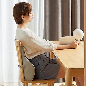 FZZDP Memory Foam Lumbar Support Cushion for Back Waist Orthopedic Pillow Office Chair Cushion Car Seat Massage Pad