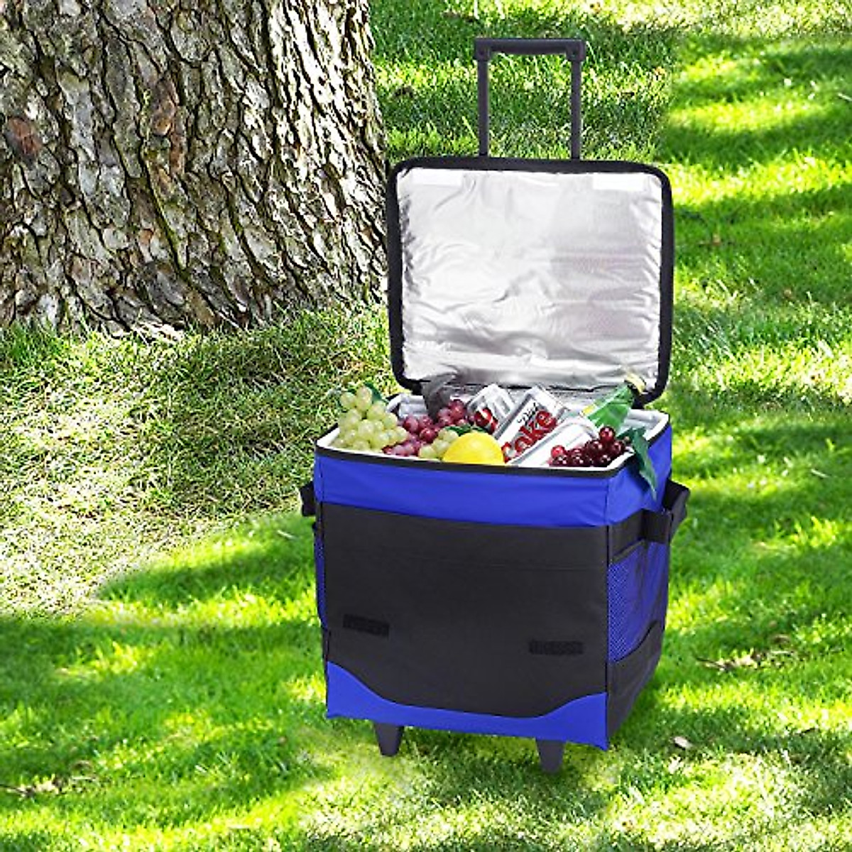 Picnic at Ascot Original 60 Can Collapsible Insulated Rolling Cooler- Designed & Quality Approved in the USA