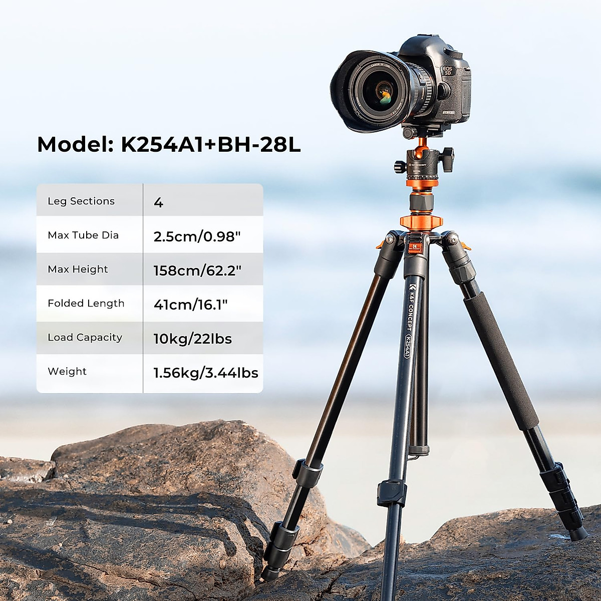 K&F Concept 62 inch DSLR Camera Tripod,Lightweight and Compact Aluminum Detachable Monopod Tripod with 360 Panorama Ball Head Quick Release Plate for Travel and Work K254A1+BH-28L (SA254M1)
