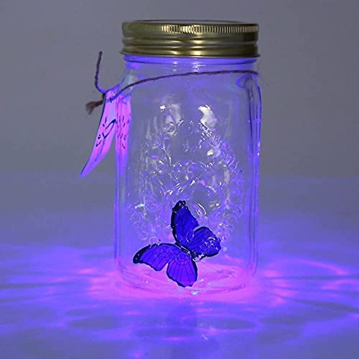 NC Butterfly in a Glass Jar, Hsxxf LED Lamp Jar Animated Butterfly in A Jar Tap to Activate Gift Decoration (Blue)